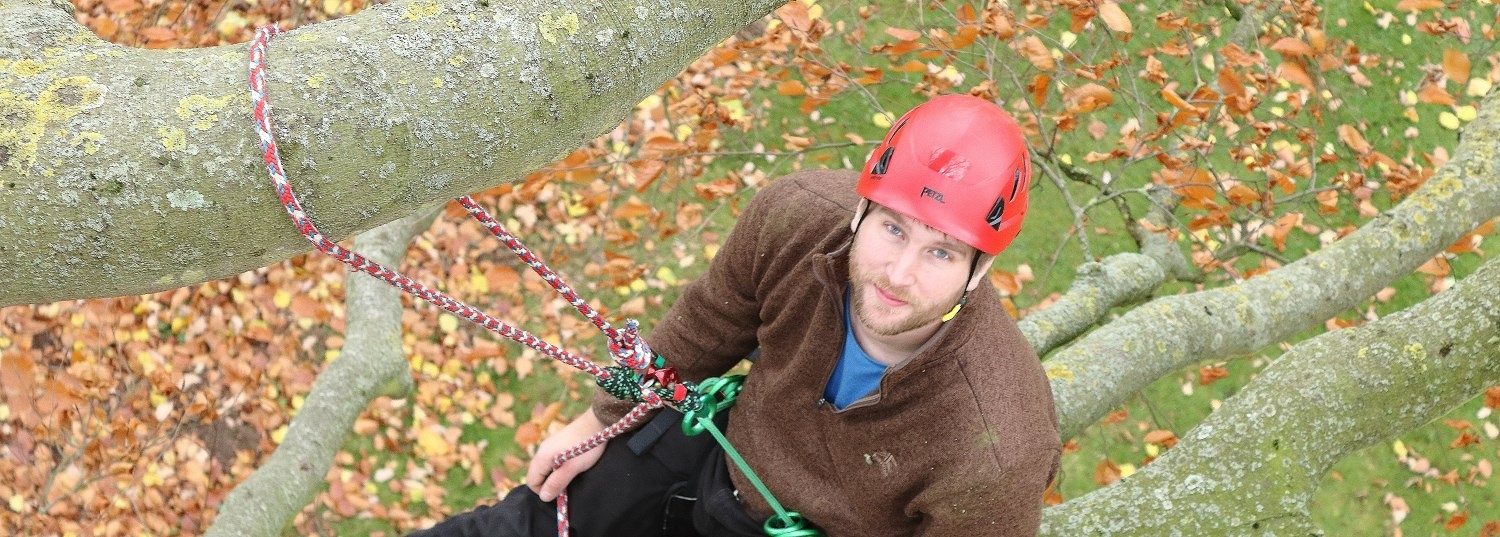 Aerial Tree Climbing Assessments - FPCR Environment and Design Ltd